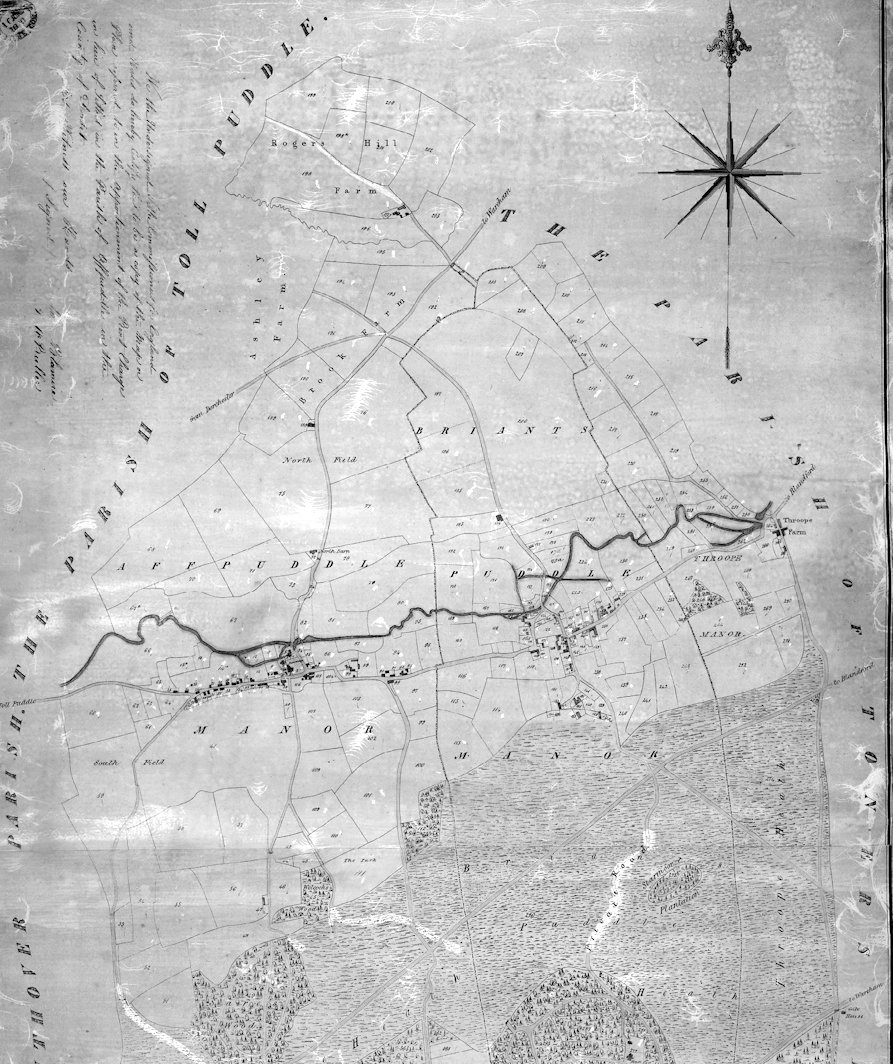 Affpuddle Manor in the 19th Century